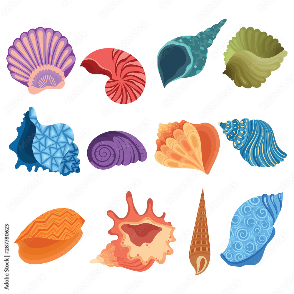 Seashells Cartoon Drawings at Evelyn Council blog