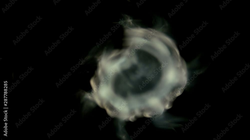 Zooplankton and plankton of the Black Sea. The larva of the ctenophore ...