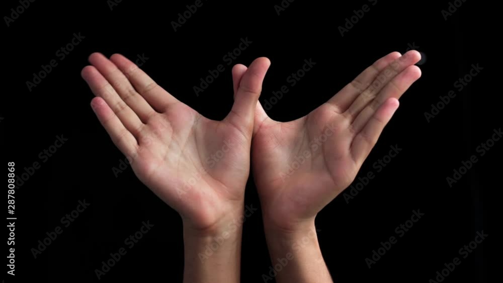 Vidéo Stock HUMAN HANDS COMING UP AND MAKING HANDS IF THEY WERE FLYING ...