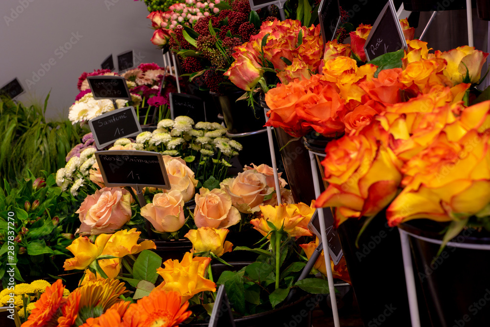 Schnittblumen im Blumenladen zum Binden von Sträußen, bunte ...