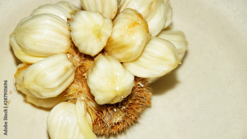 Fruits of Sabah Borneo called Buah Tarap, Timadang or Marang. Close up ...