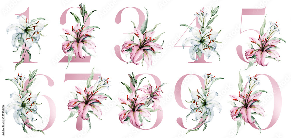 Floral numbers set with watercolor flowers lilies. Perfectly for ...
