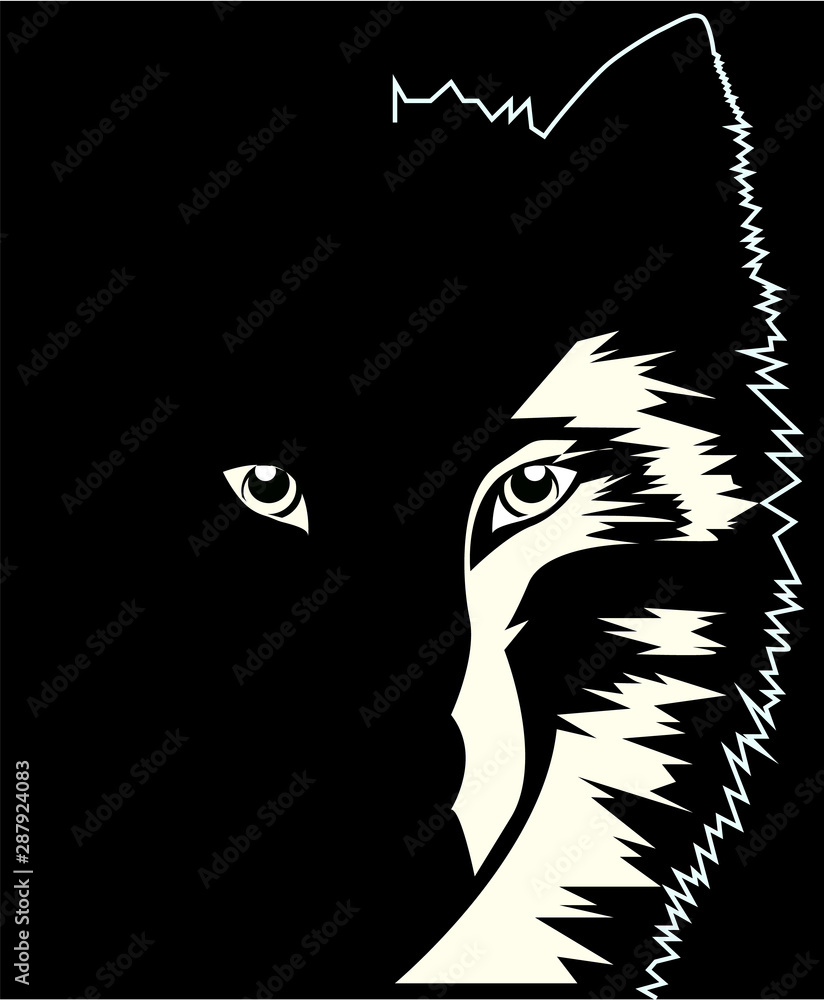 dangerous wolf in the dark, black and white drawing, vector ...