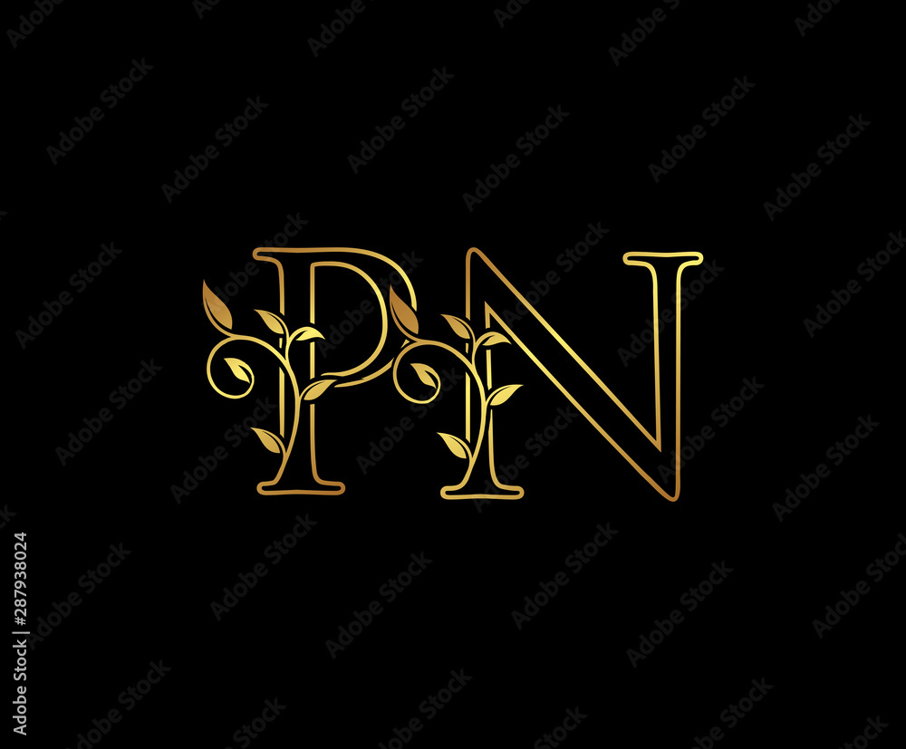 Initial letter P and N, PN, Gold Logo Icon, classy gold letter monogram ...