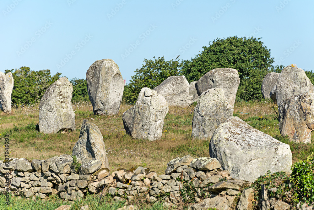 Poster Prehistoric megalithic menhirs alignment in Carnac, Brittany ...