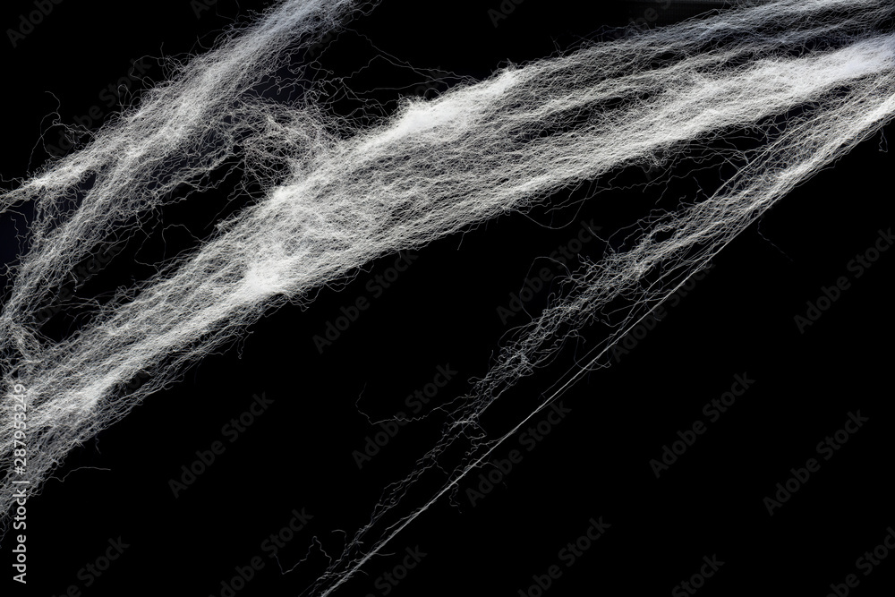 Long cobweb overlay Stock Photo | Adobe Stock