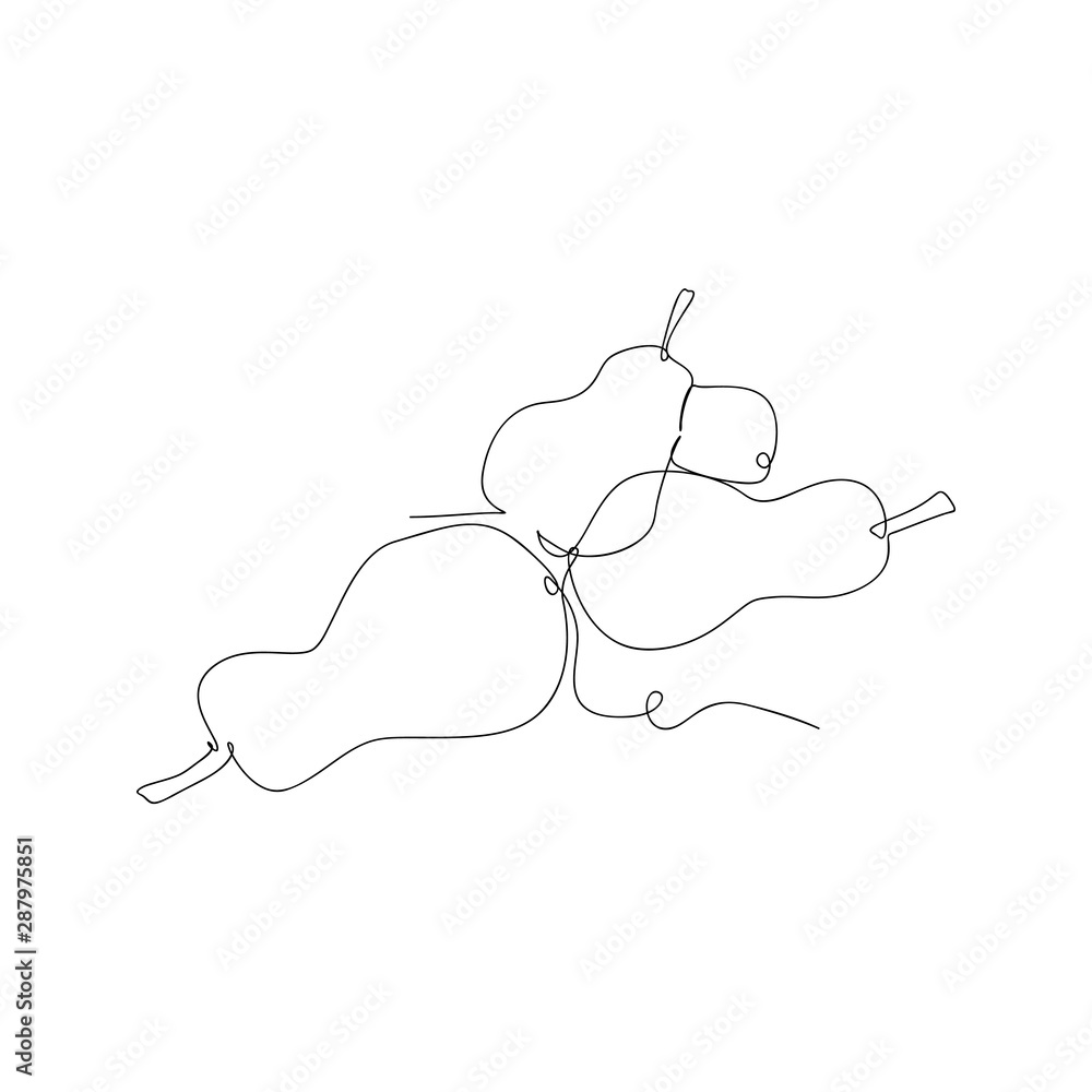 continuous line drawing of pears. isolated sketch drawing of pears line ...