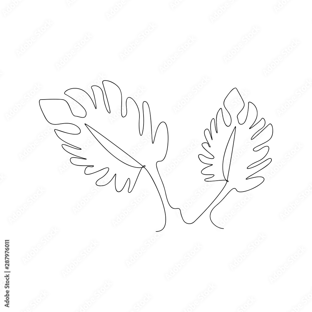 continuous line drawing of monstera leaf. isolated sketch drawing of ...