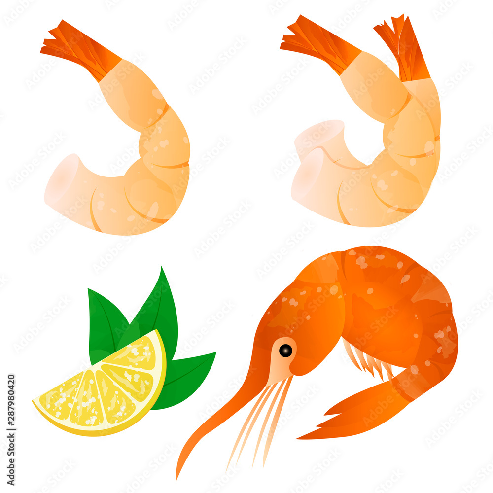 Collection of ocean food. Shrimp flat illustration. Cartoon seafood set ...