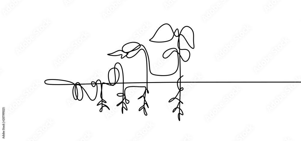 Growing Seed Drawing