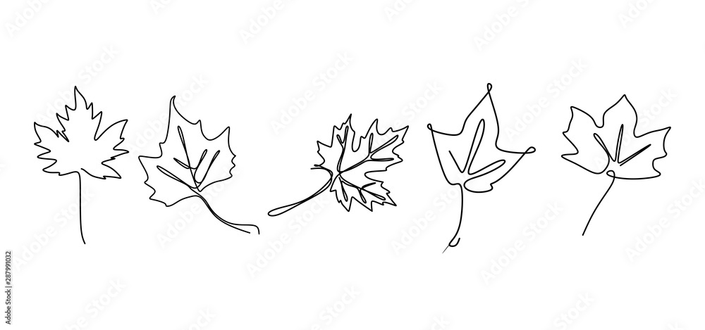 Continuous line drawing of maple leaves hand drawn set collections ...