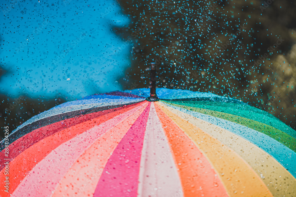 Bright colored rainbow umbrella in the rain Stock Photo | Adobe Stock