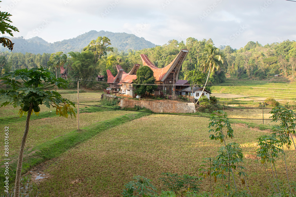 Traditional Alang rice barn and the Tongkonan building , is the ...