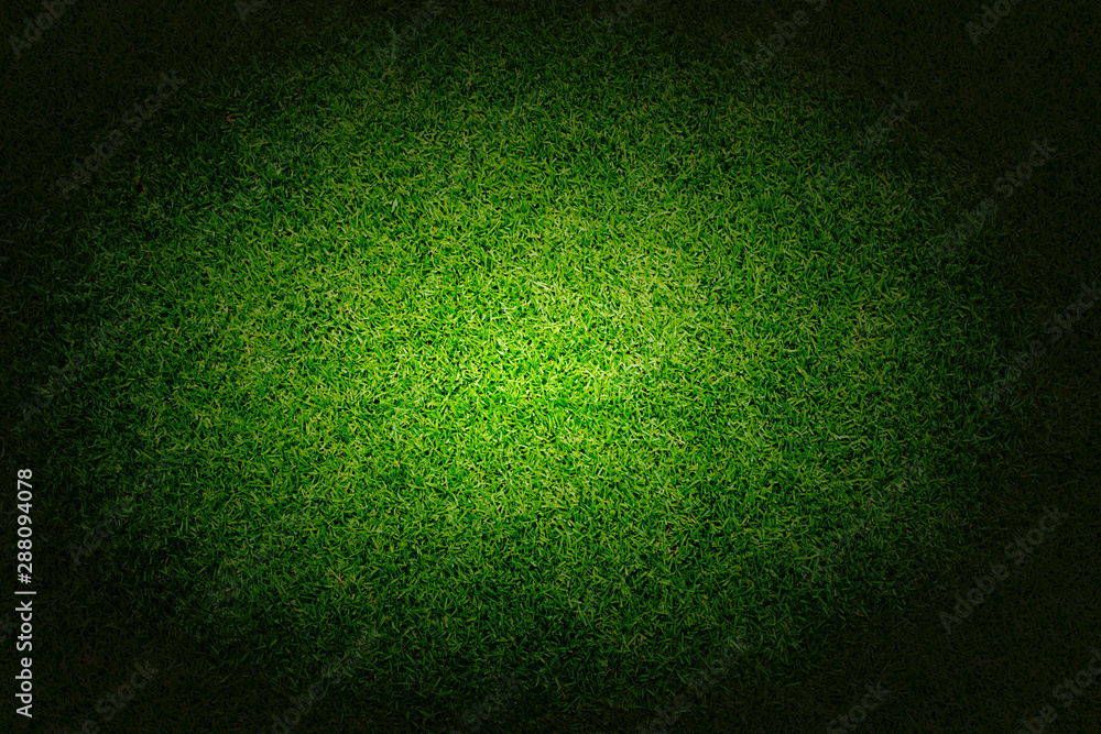 grass texture background Stock Photo | Adobe Stock