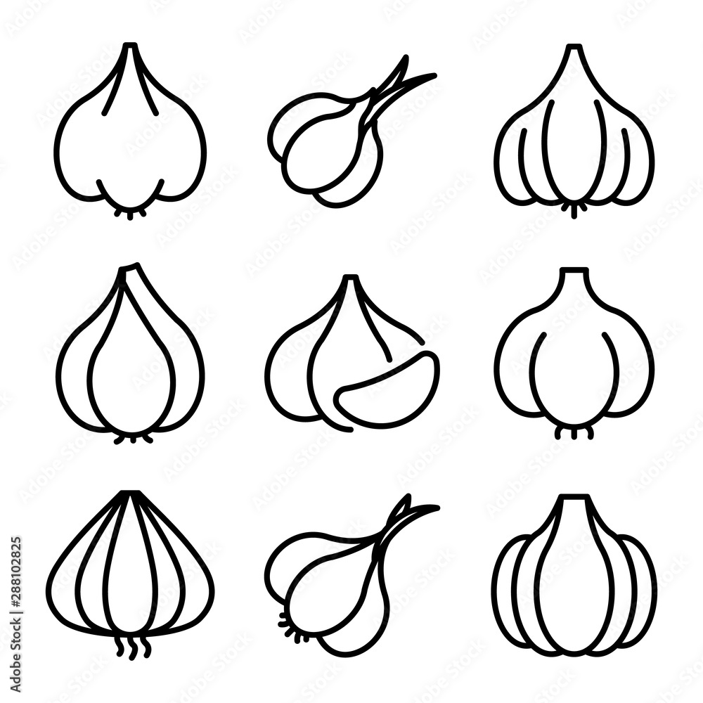 Garlic Outline