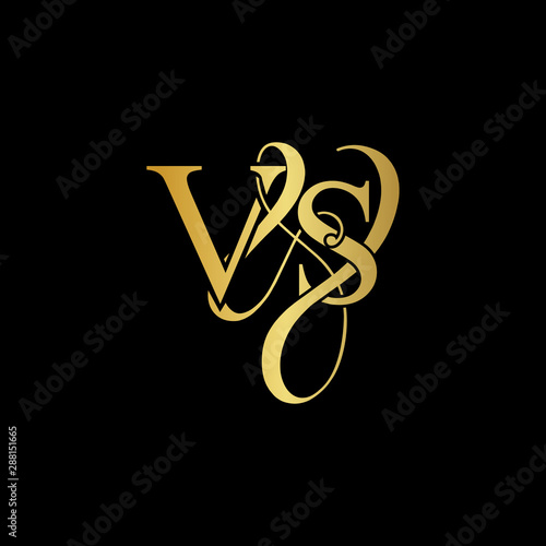 V And S Logo Design