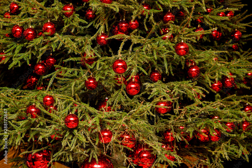Christmas Tree Texture
