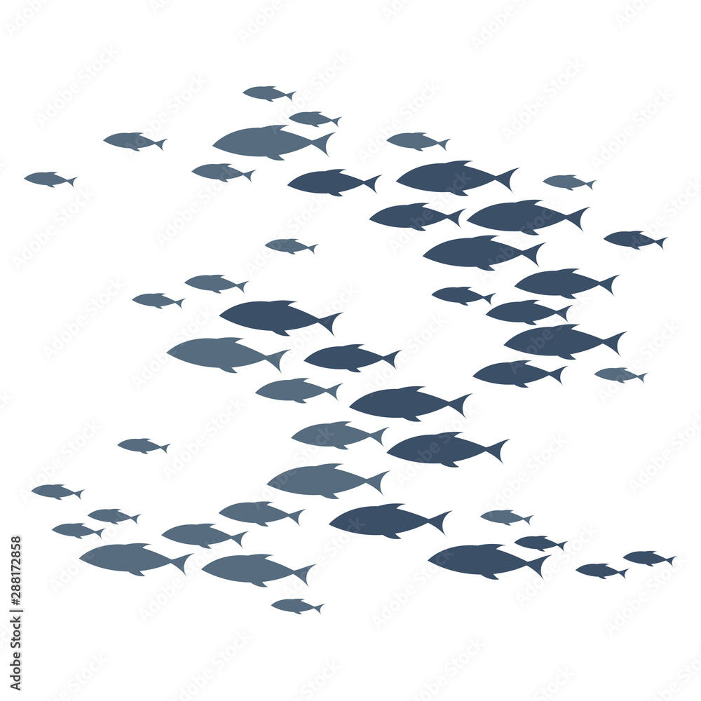 Colored silhouettes of groups of sea fishes. Colony of small fish. Icon ...