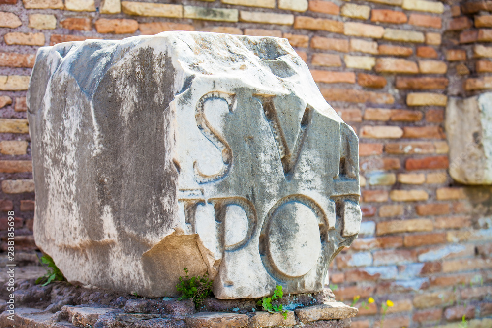 Detail of the ruins at the Flavian Palace also known as the Domus ...