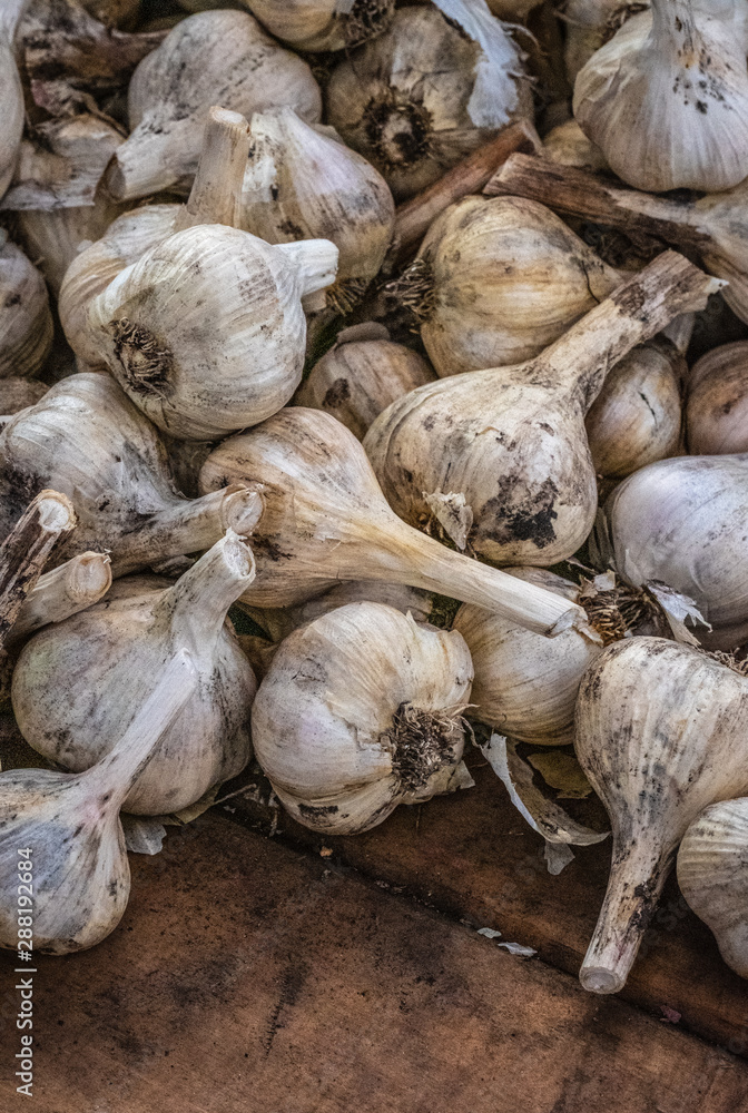 garlic Stock Photo | Adobe Stock