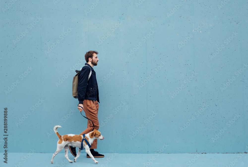 Man walking the dog against the blue background Stock Photo | Adobe Stock