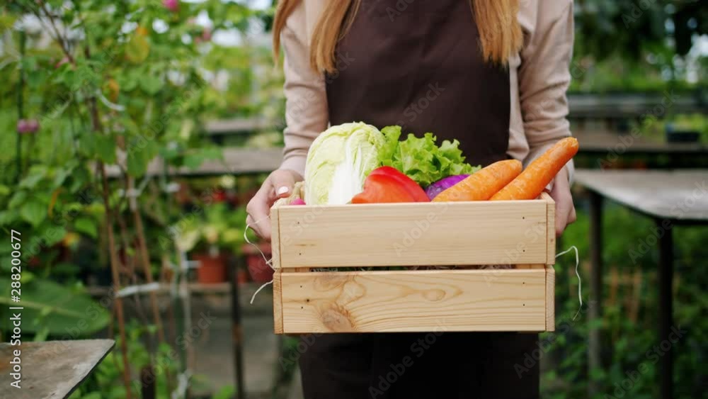 Portrait of cheerful young girl farmer carrying box of vegetables in ...
