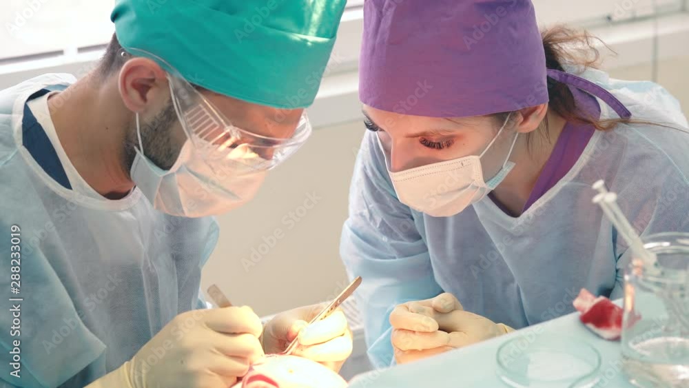 Baldness treatment. Hair transplant. Surgeons in the operating room ...