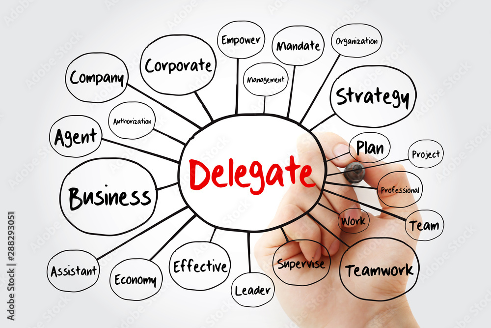 Delegate mind map flowchart with marker, business concept for ...