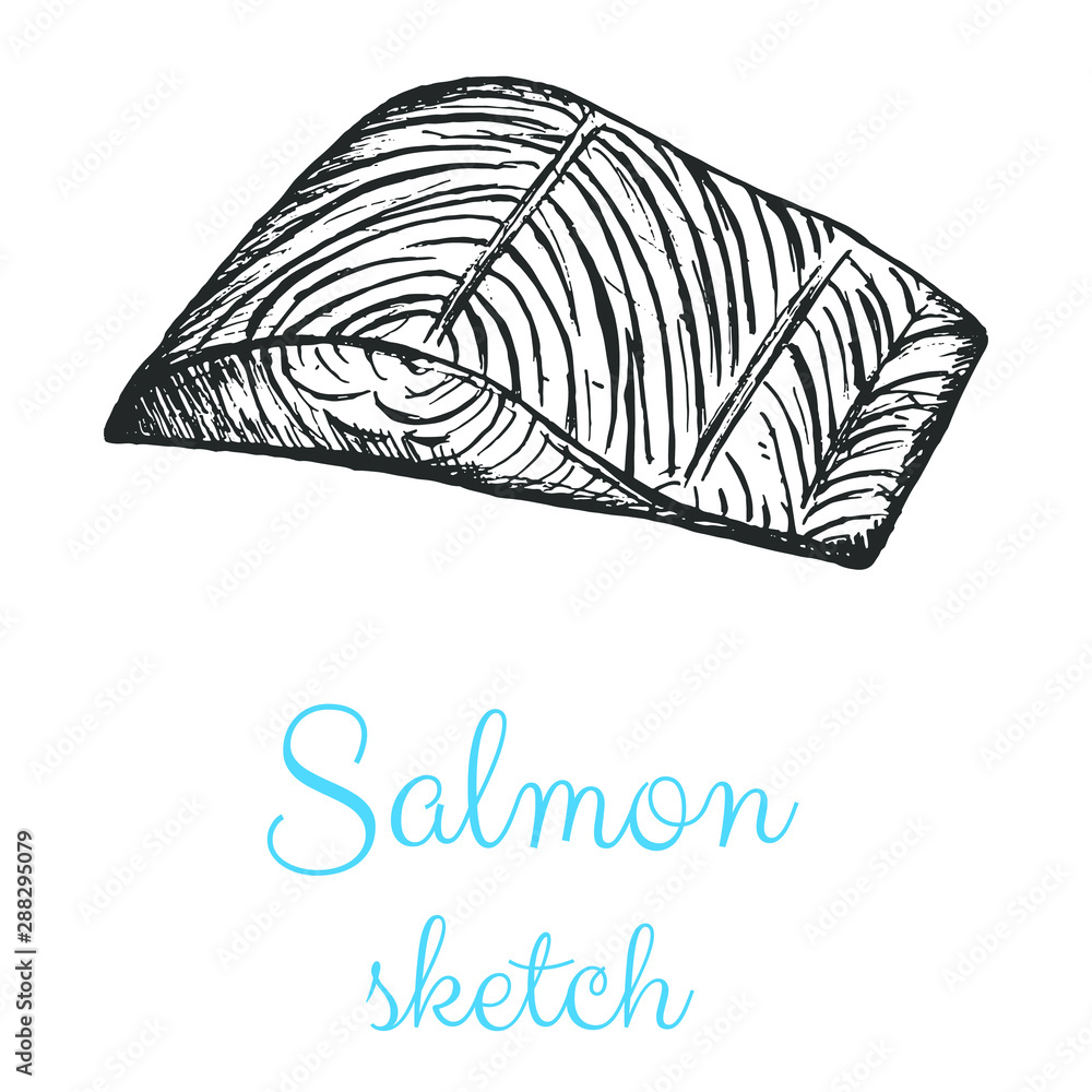 Salmon seafood sketch vector, hand drawn pencil drawing isolated design ...