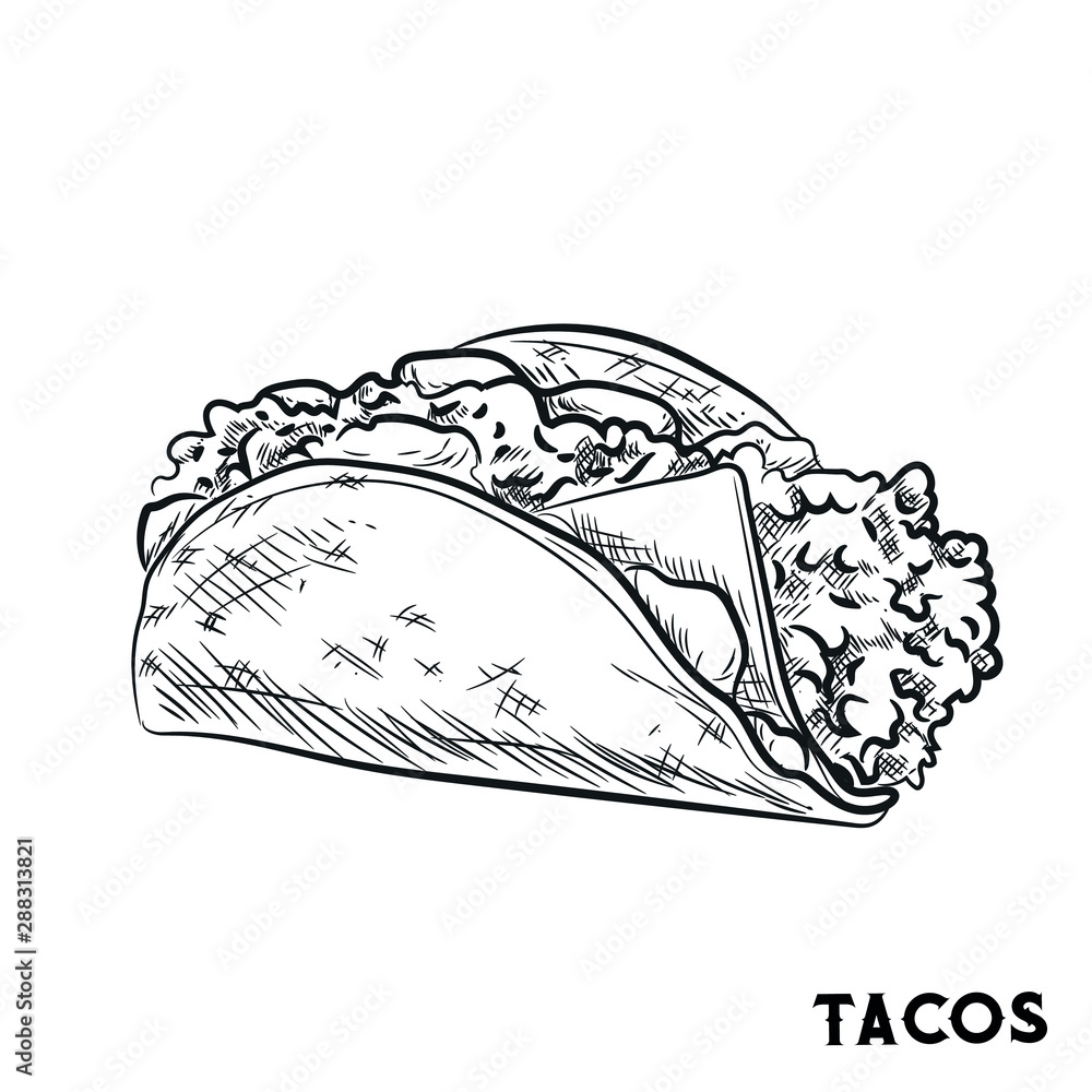 Taco. Mexican traditional food vector hand drawn illustration, menu ...