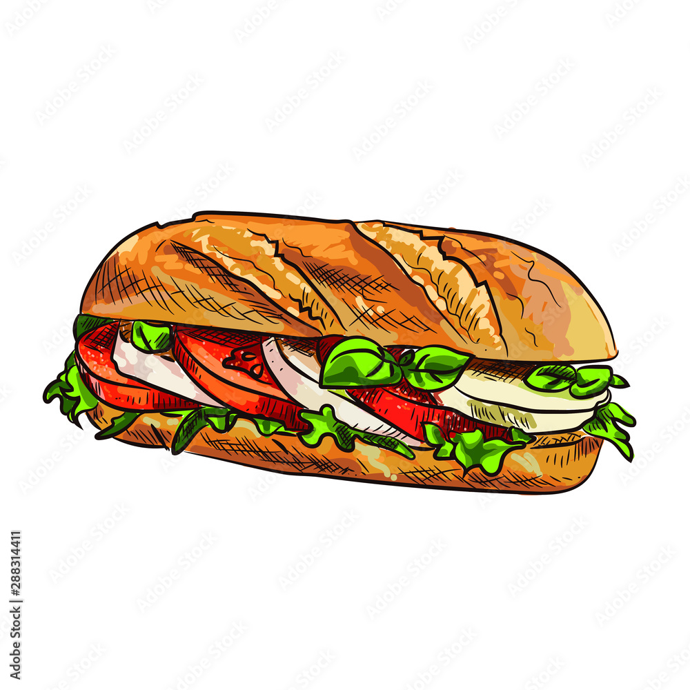 Sub Sandwich Vector