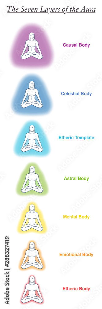 Seven aura bodies chart of a meditating yoga woman. Labeled chart ...
