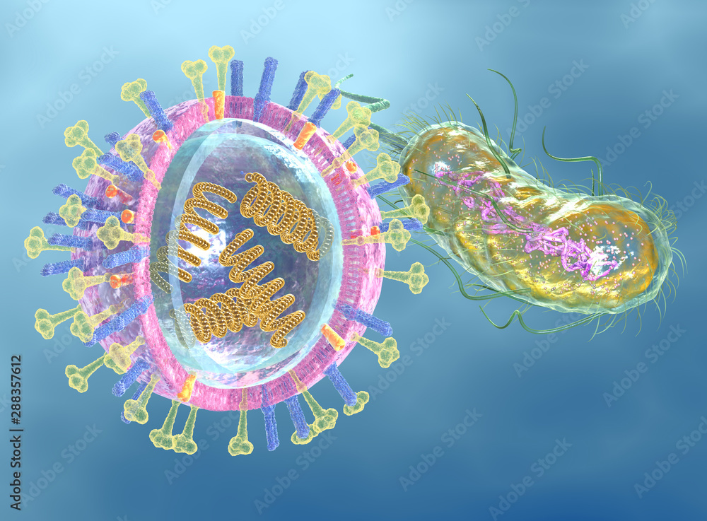 Infectious disease: Virus (left) and bacteria (right), medically 3D ...