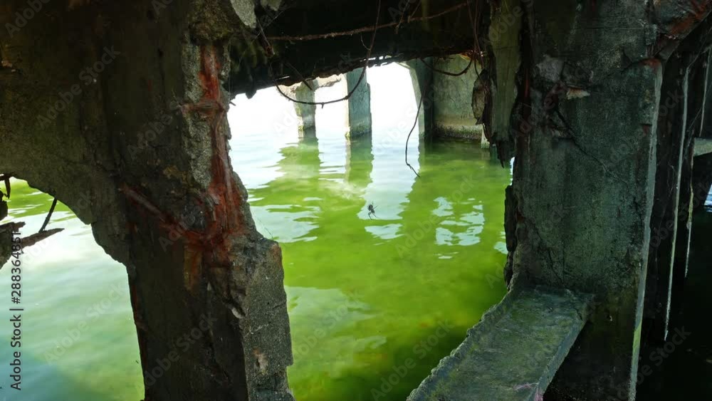 Vídeo do Stock: Inside an abandoned half-sunken shipwreck. A spider in ...