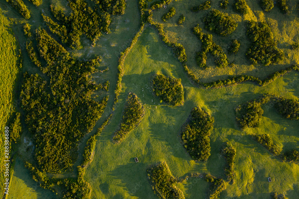 Aerial image of typical countryside landscape of Planalto da Achada ...