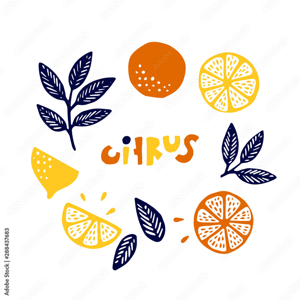Collection of citrus fruits - orange, lemon, lime and leaves icons set ...