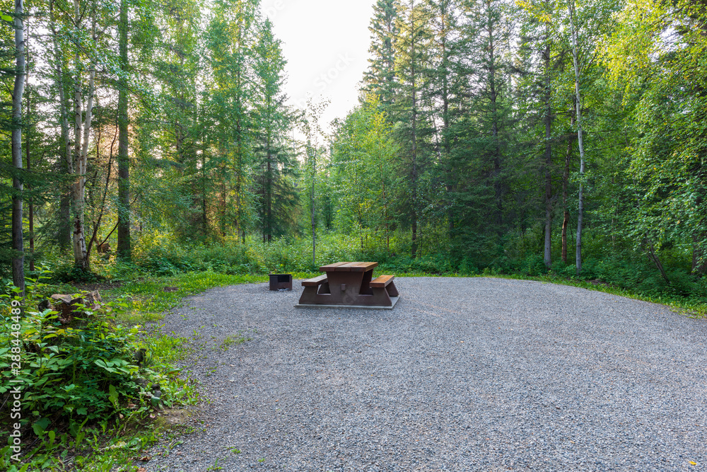 Empty campsite with picnic table in Liard River Hot Springs Provincial ...