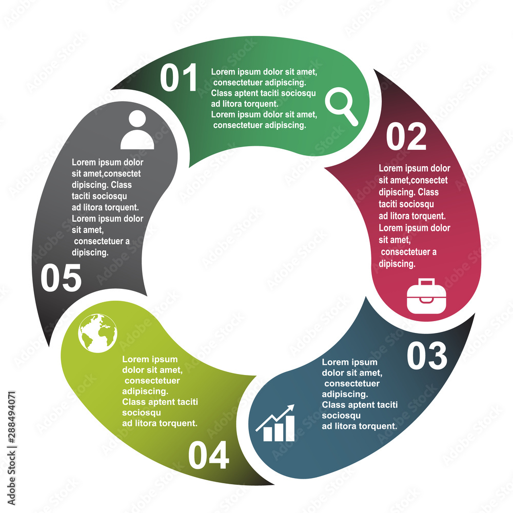 5 steps vector element in five colors with labels, infographic diagram ...