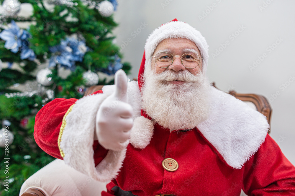 Real Santa Beard