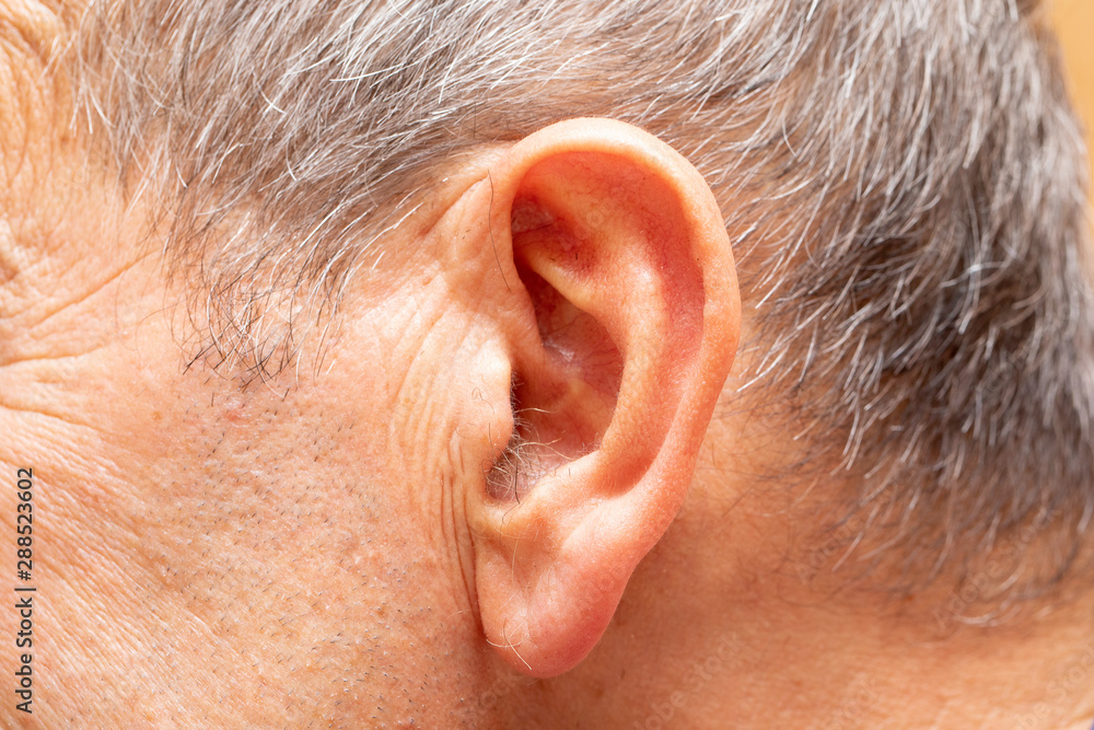 Side Profile With Ear