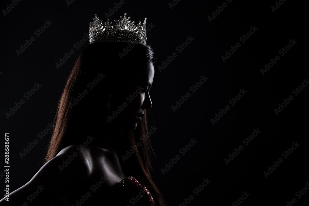 Portrait of Miss Pageant Beauty Contest in sequin Evening Ball Gown ...