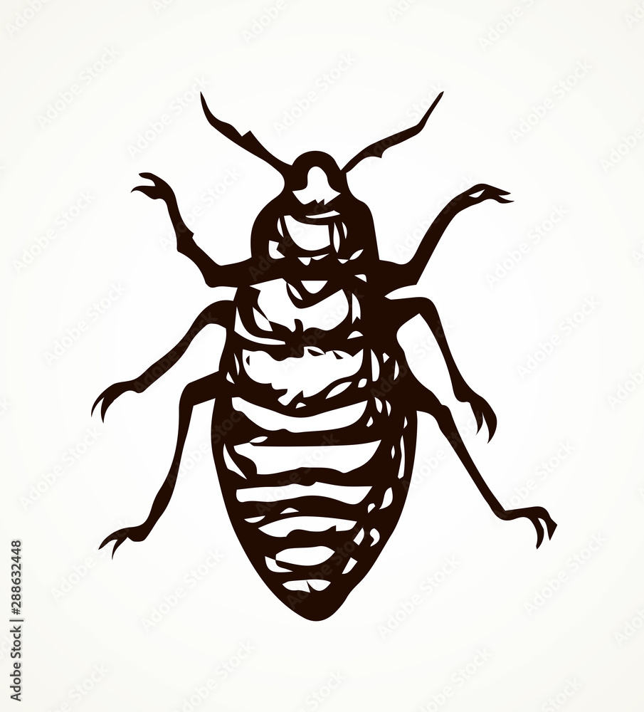 Beetle. Larva. Vector drawing Stock Vector | Adobe Stock
