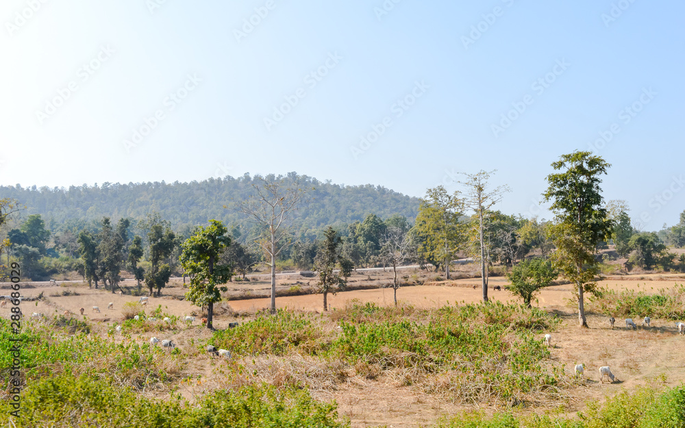 Landscape Scenery of Chhota Nagpur Semi arid Plateau, The Indo Gangetic ...
