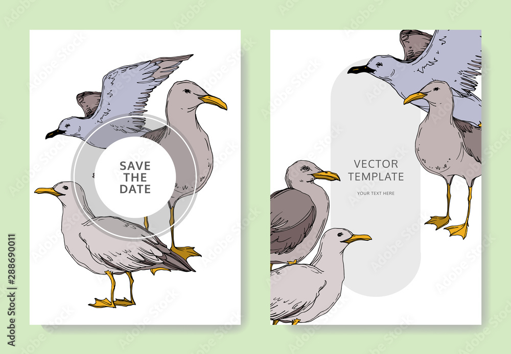 Vector Sky bird seagull in a wildlife. Black and white engraved ink art ...