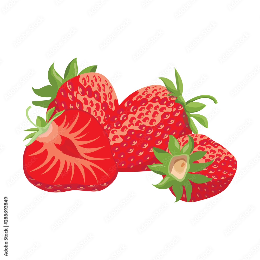 Strawberry Fruit Drawing