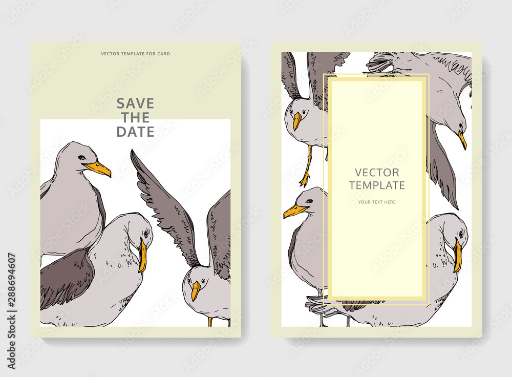 Vector Sky bird seagull in a wildlife. Black and white engraved ink art ...