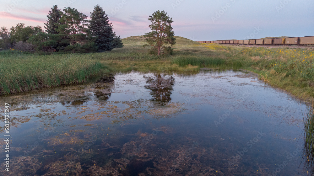 Nebraska wetland and livestock pond with moss and algae. Stock Photo ...