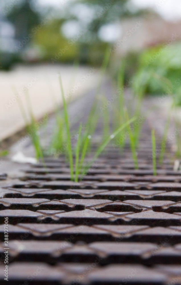 Ablauf Rinne Regenwasser 2 Stock Photo | Adobe Stock