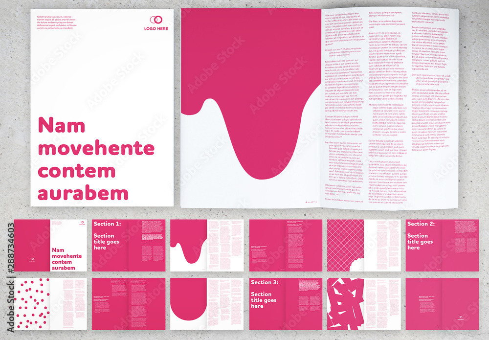 Pink Booklet Layout with Graphic Elements Stock Template | Adobe Stock