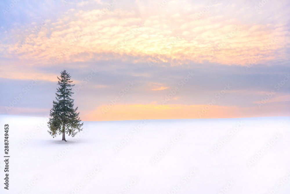 Panorama Christmas In Japan